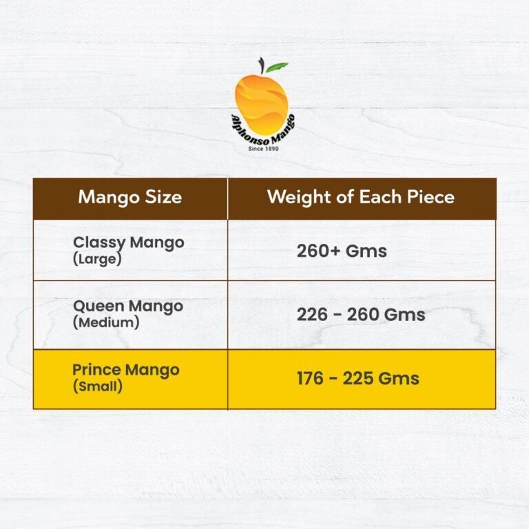 Order Devgad Mangoes Online | Prince Alphonso 1 Dozen Pack